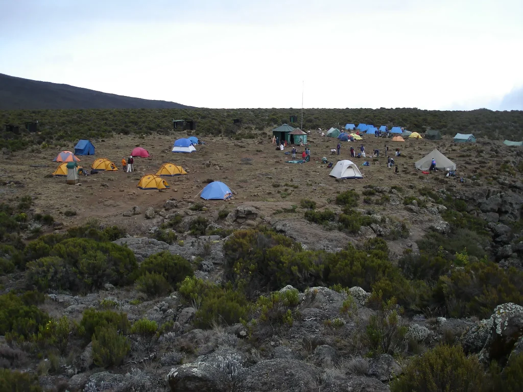 8 Days Northern Circuit Kilimanjaro Trekking Route - Sana Wild Experience